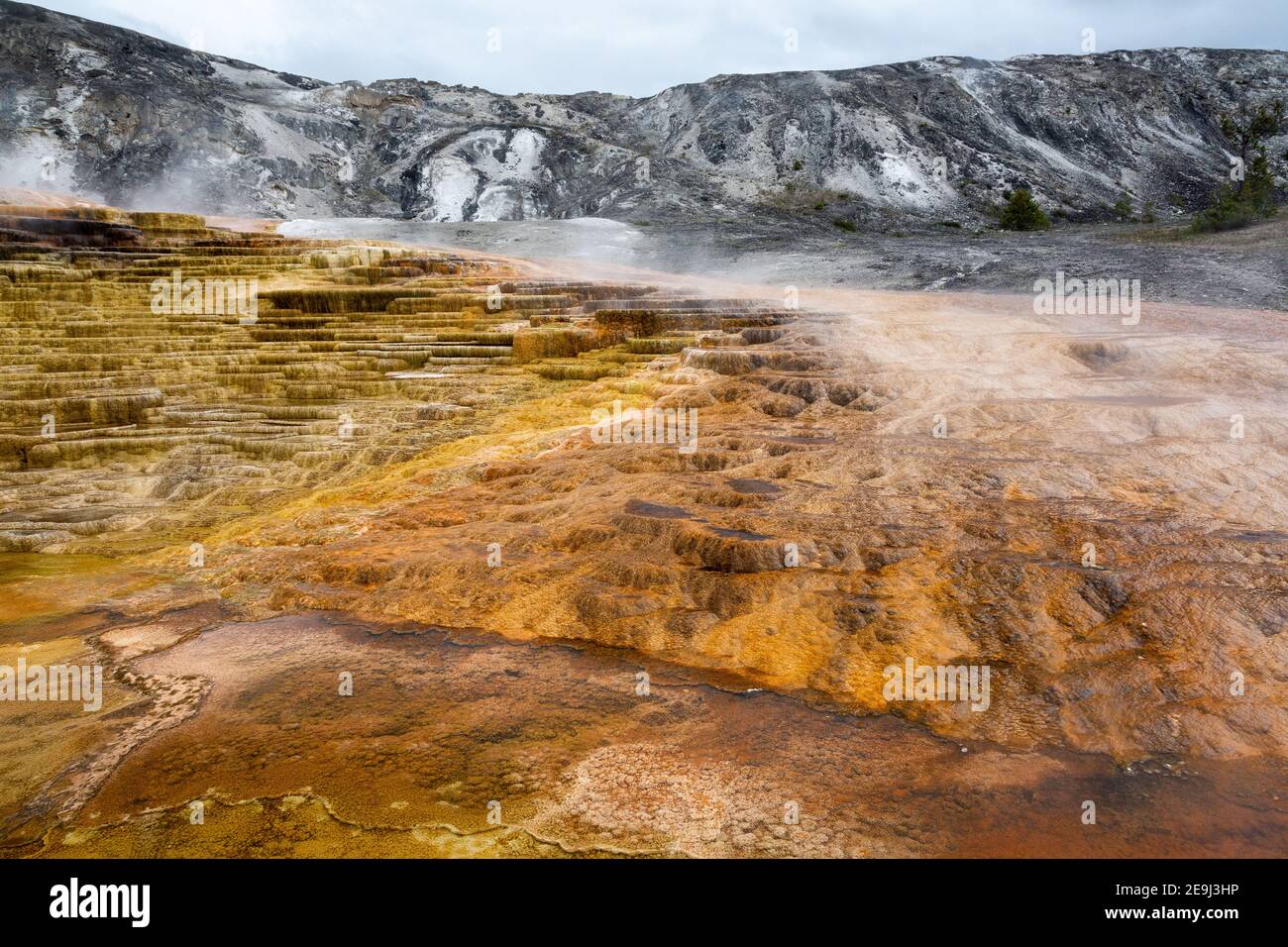 Travertine pools creating cascades that define Mound Terrace at Mammoth ...