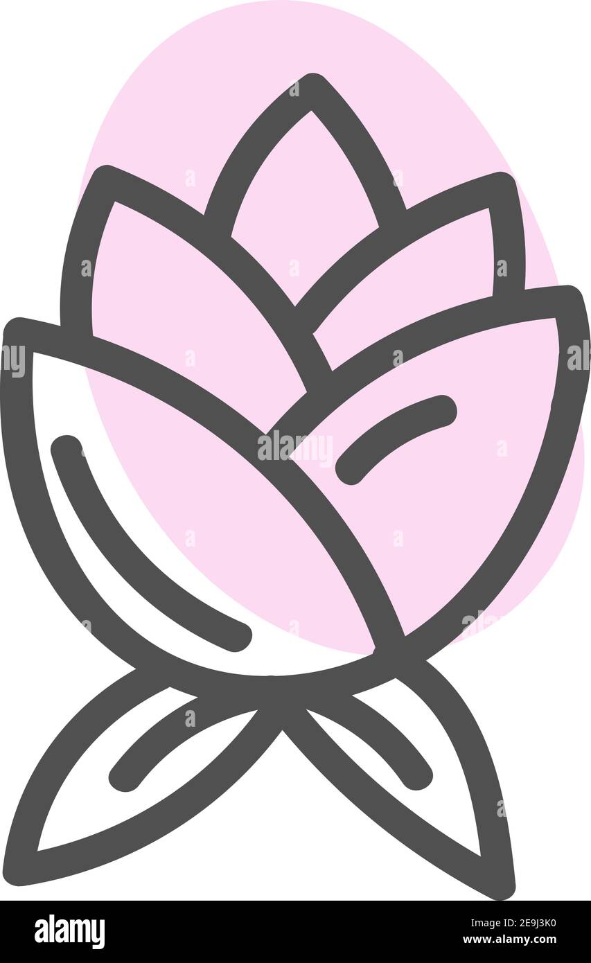 Soft pink flower, illustration, vector on white background Stock Vector ...