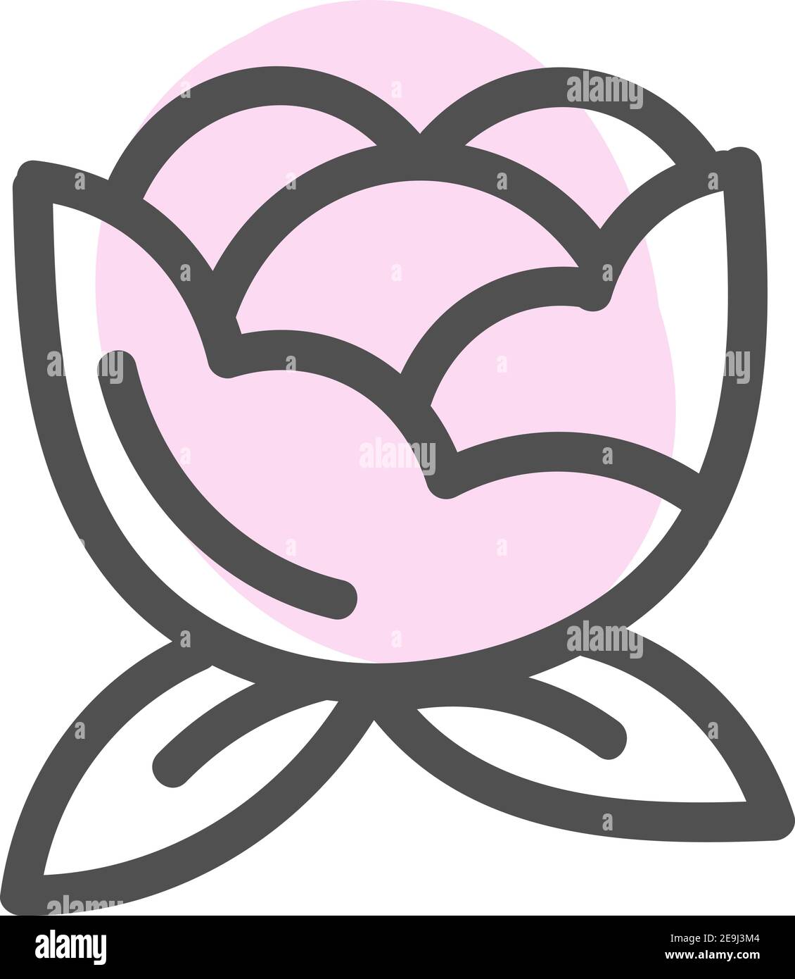 One white pink flower on Stock Vector Images - Alamy