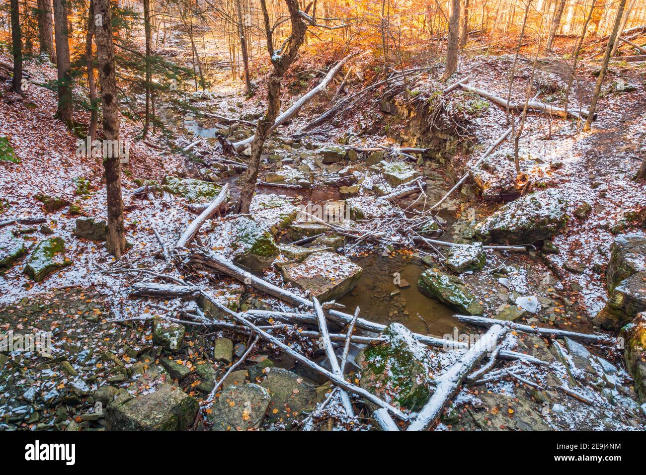Terrace Falls Conservation area Short Hills Throld Ontario Canada Stock ...