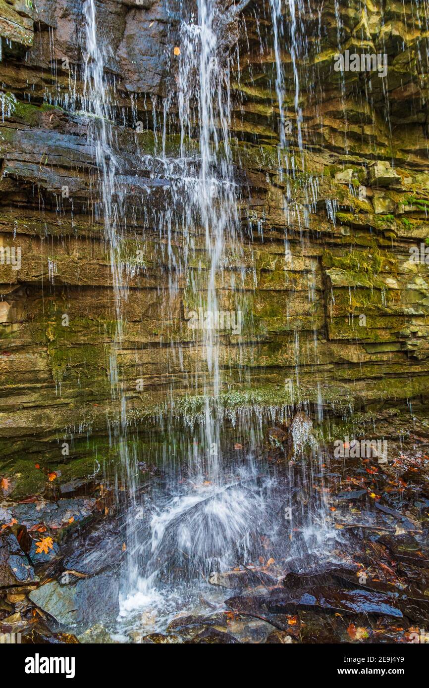 Terrace Falls Conservation area Short Hills Throld Ontario Canada Stock ...