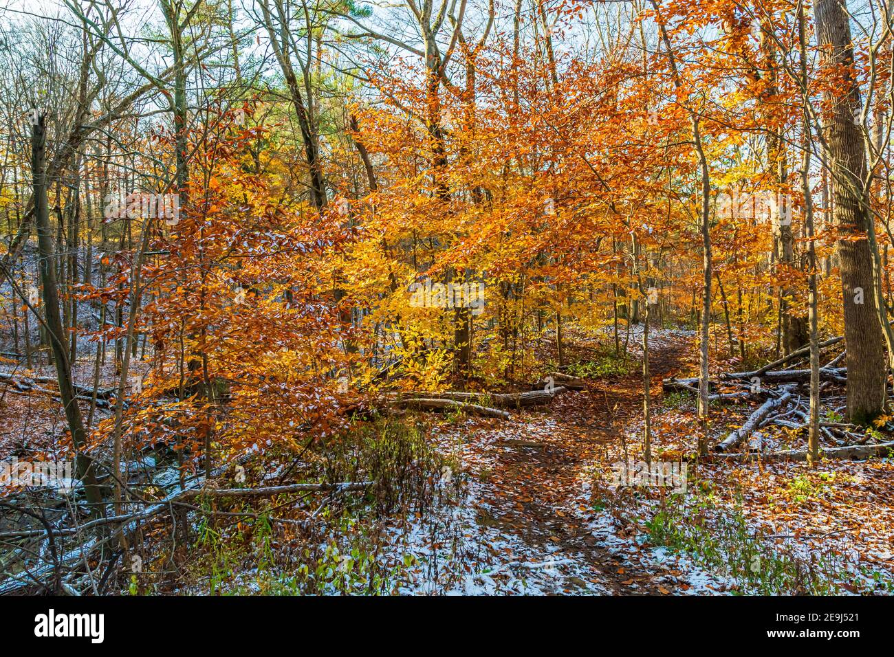 Terrace Falls Conservation area Short Hills Throld Ontario Canada Stock ...