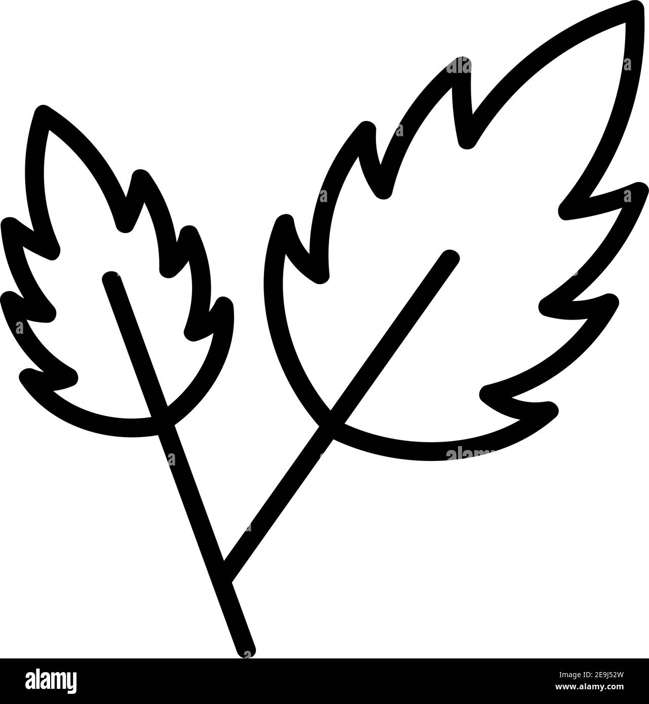 Two tree leaves, illustration, vector on white background Stock Vector ...