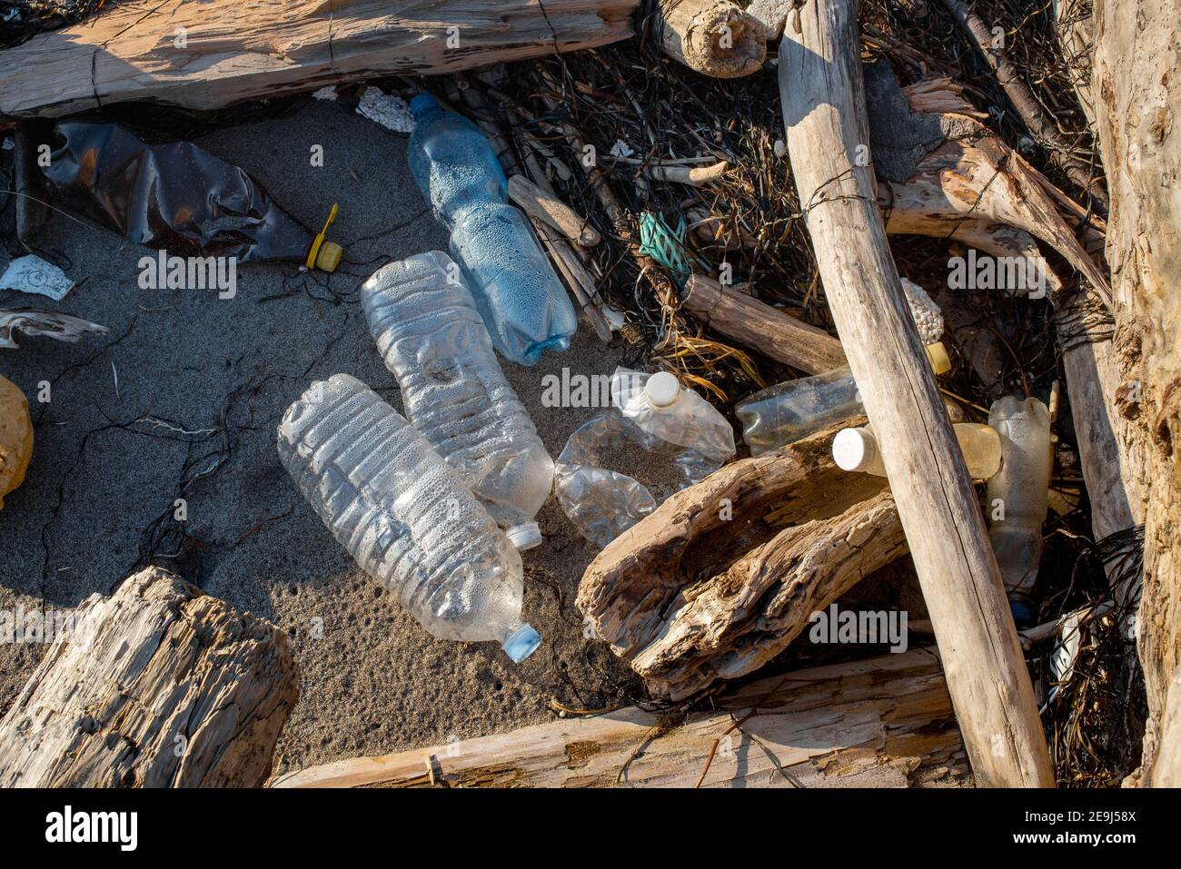 Old trees and rubbish washed ashore after the storm. Plastic bottles ...