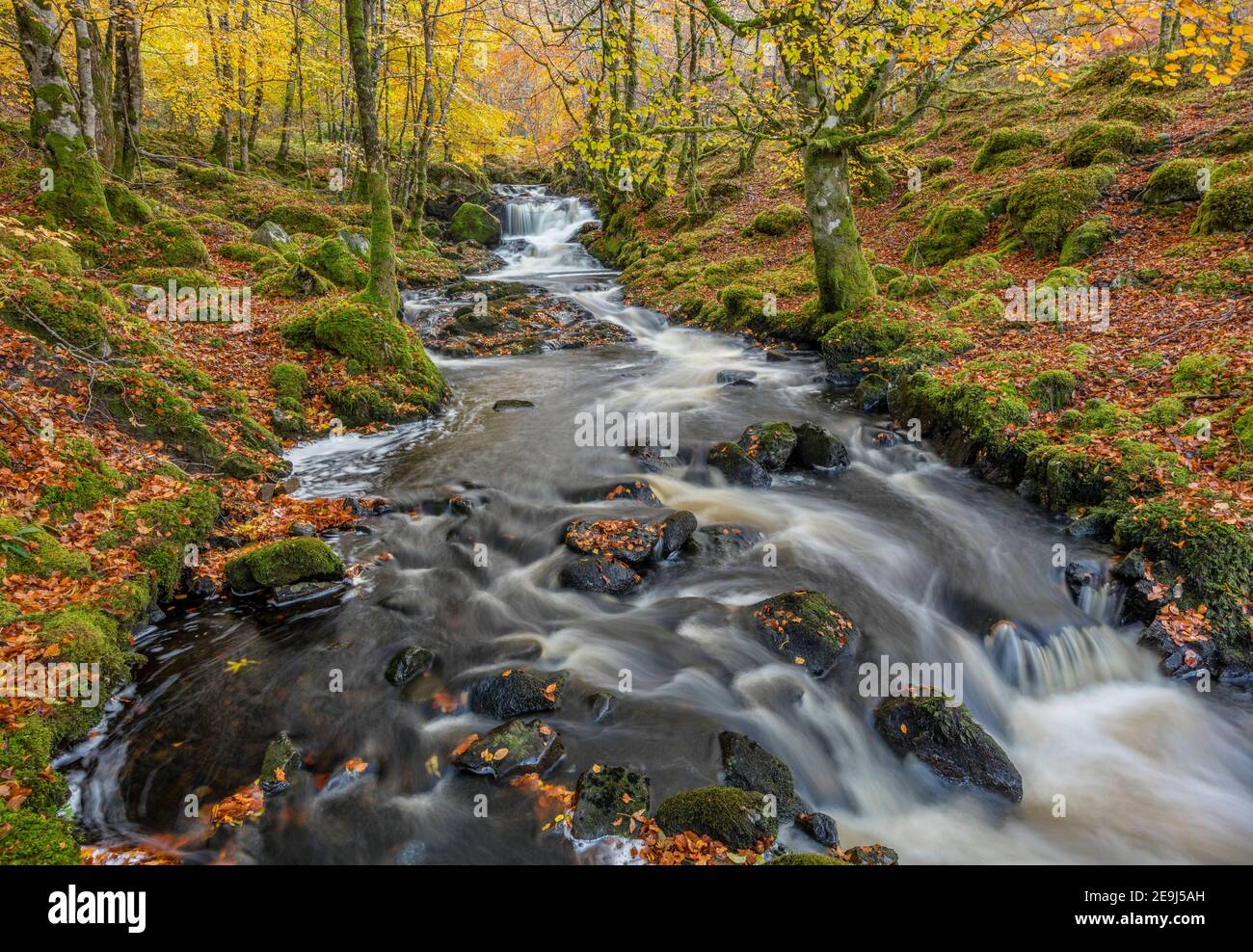 Stream scotland highlands hi-res stock photography and images - Alamy