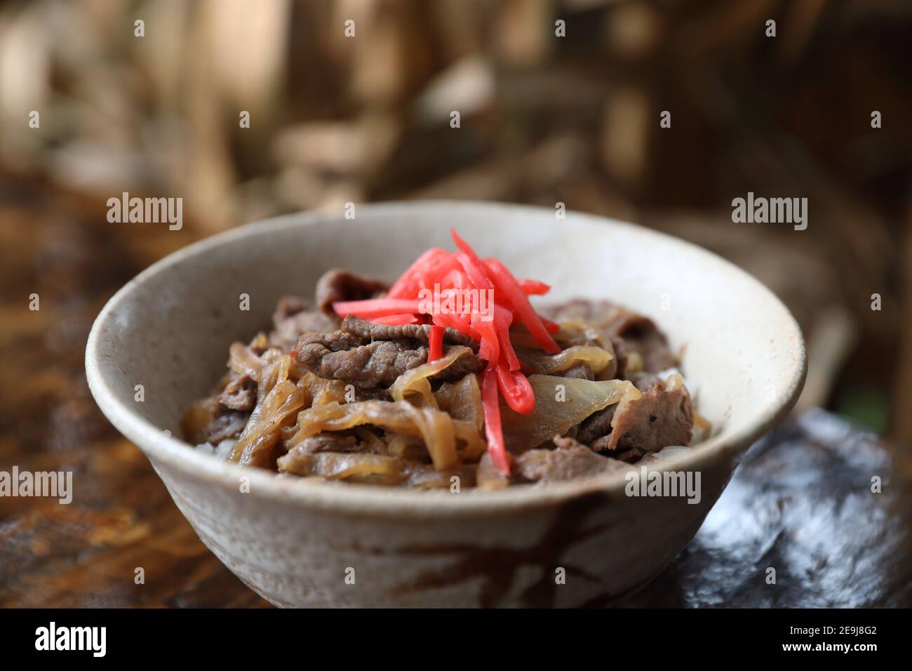 Gyudon Japanese beef rice bowl in close up Japanese local food Stock ...