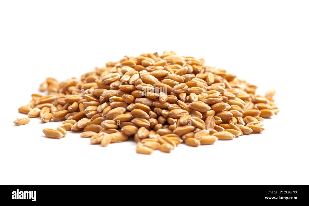 Spelt seed grain Cut Out Stock Images & Pictures - Alamy