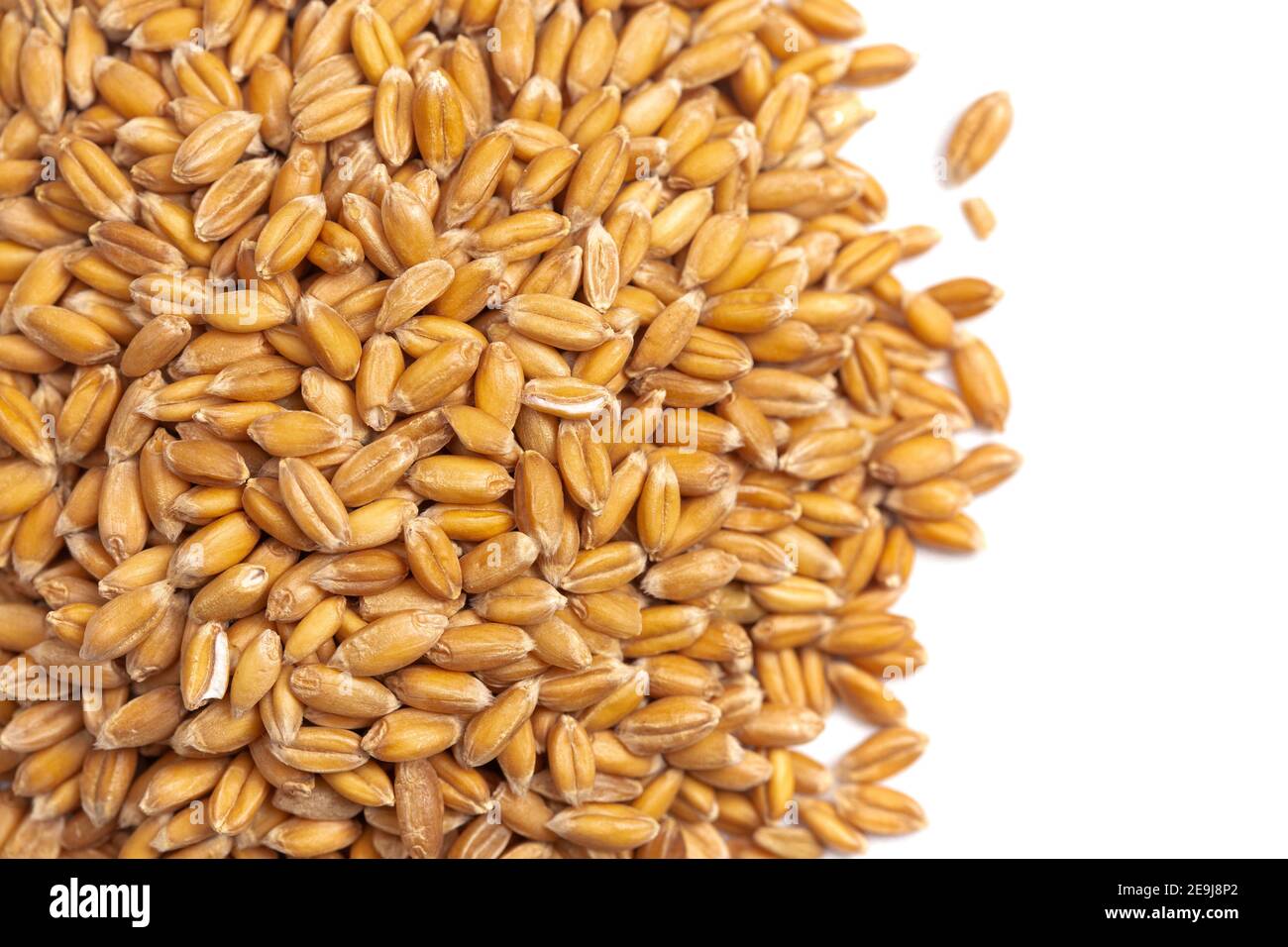 Pile of Spelt Grain Isolated on a White Background Stock Photo - Alamy