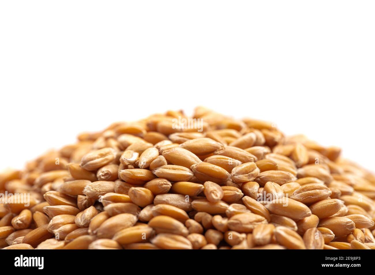 Pile of Spelt Grain Isolated on a White Background Stock Photo - Alamy