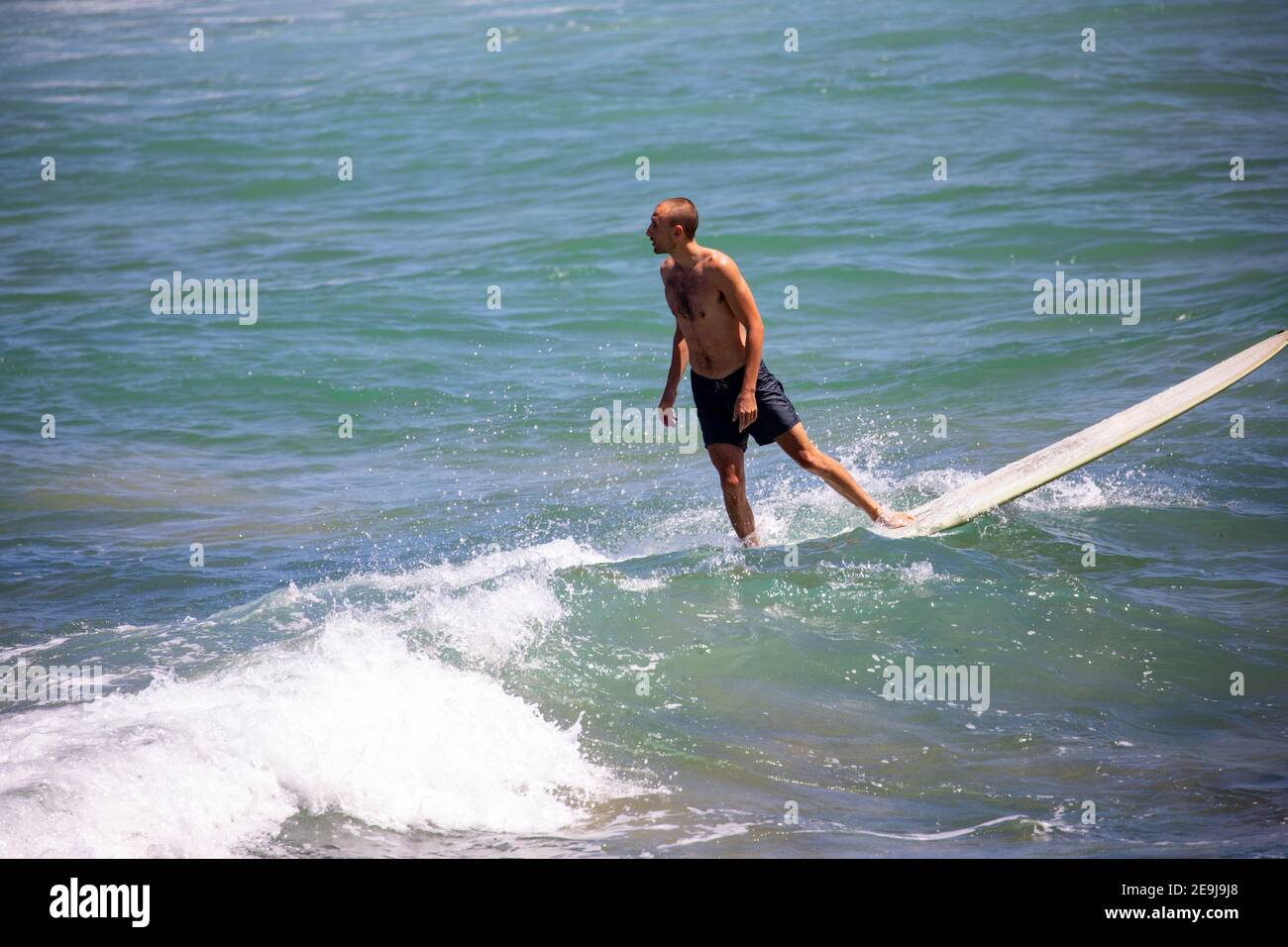 Australian man surfing off Avalon Beach I summer, warm water so no need ...