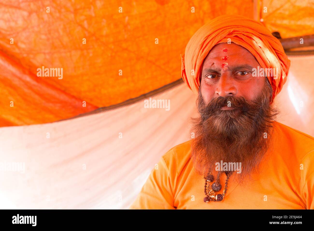 Portrait of a Holy Man or Yogi, also know as Sadhu Stock Photo - Alamy