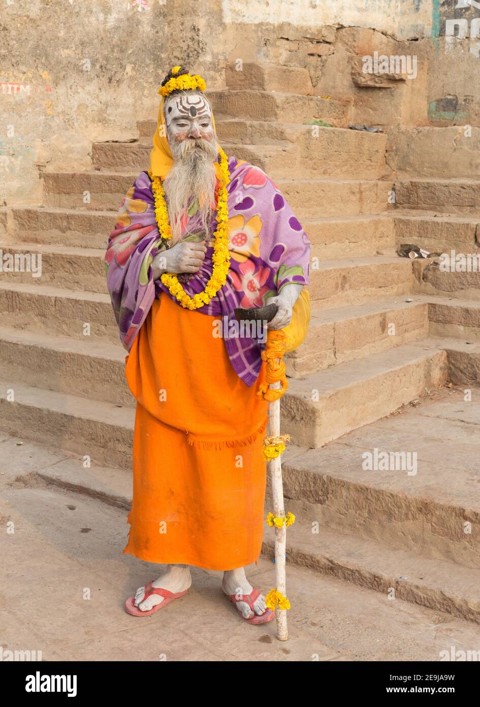 Portrait of a Holy Man or Yogi, also know as Sadhu Stock Photo - Alamy