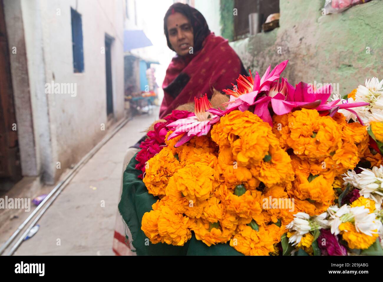 Indian woman selling marigold flowers hi-res stock photography and ...