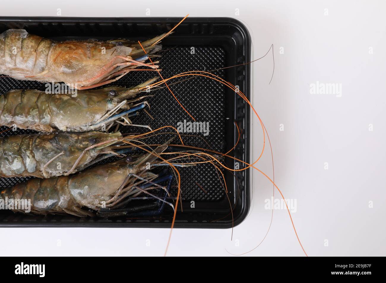 Live Large Tiger Prawns For Giant Tampines Hypermarket On, 47% OFF