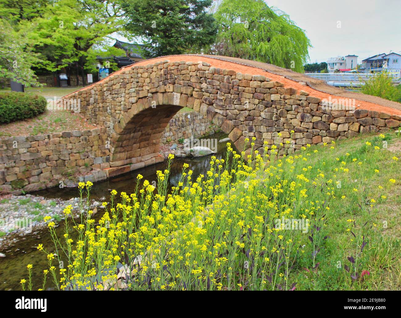 Spring of Mannyeongyo Bridge in Yeongsan, Changnyeong, Gyeongnam, South ...