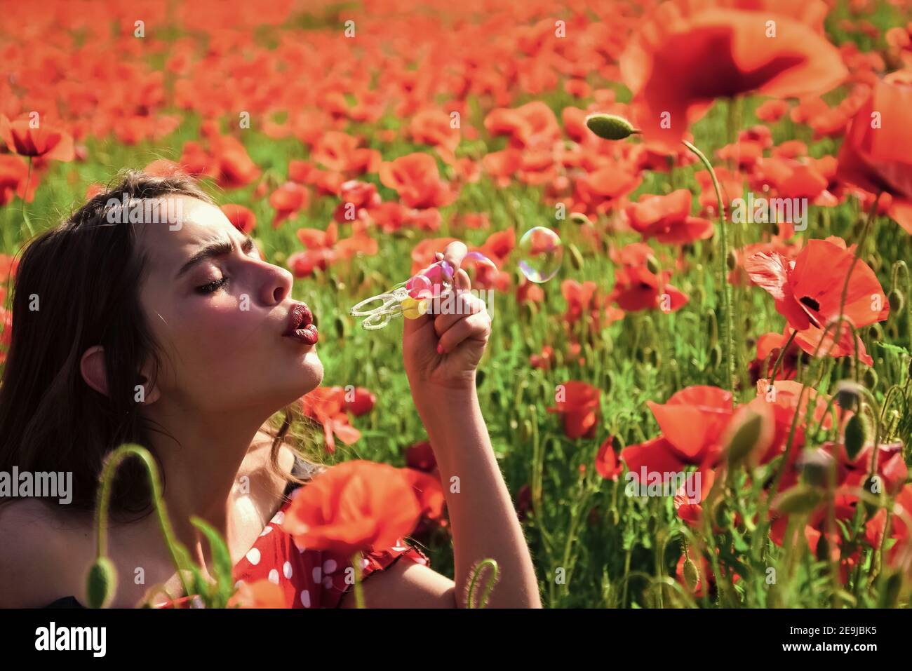 Poppy, Summer, spring, poppy flower. Woman blow bubble in poppy field ...