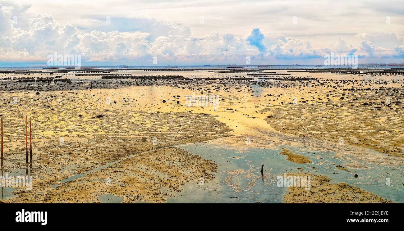 Wet and muddy coastline during low tide by the beach with golden sun ...