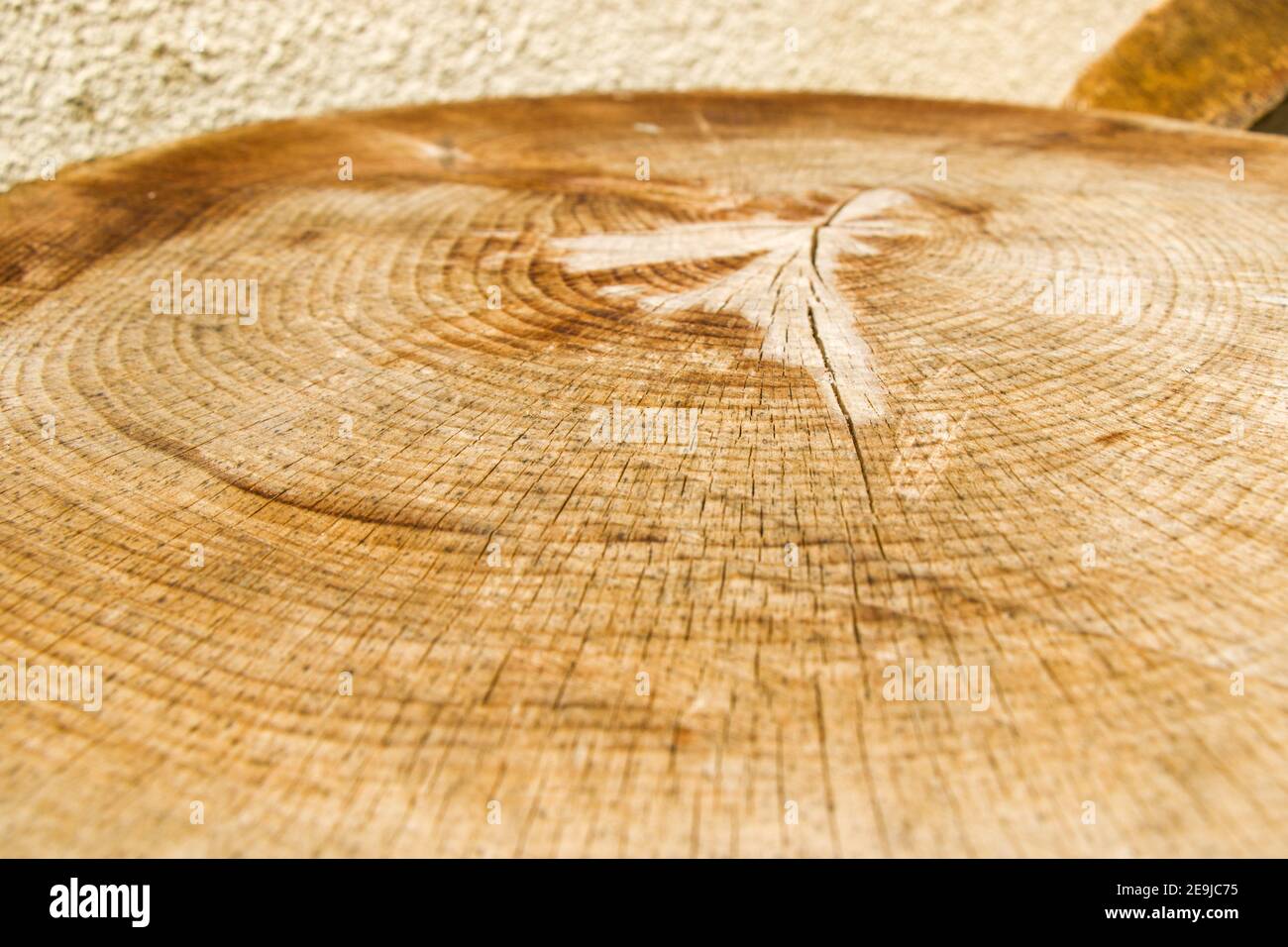 Closeup of the texture of a cut and dry tree - good for wooden ...