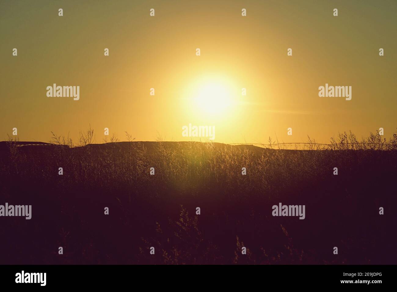 beautiful sun over a field Stock Photo - Alamy