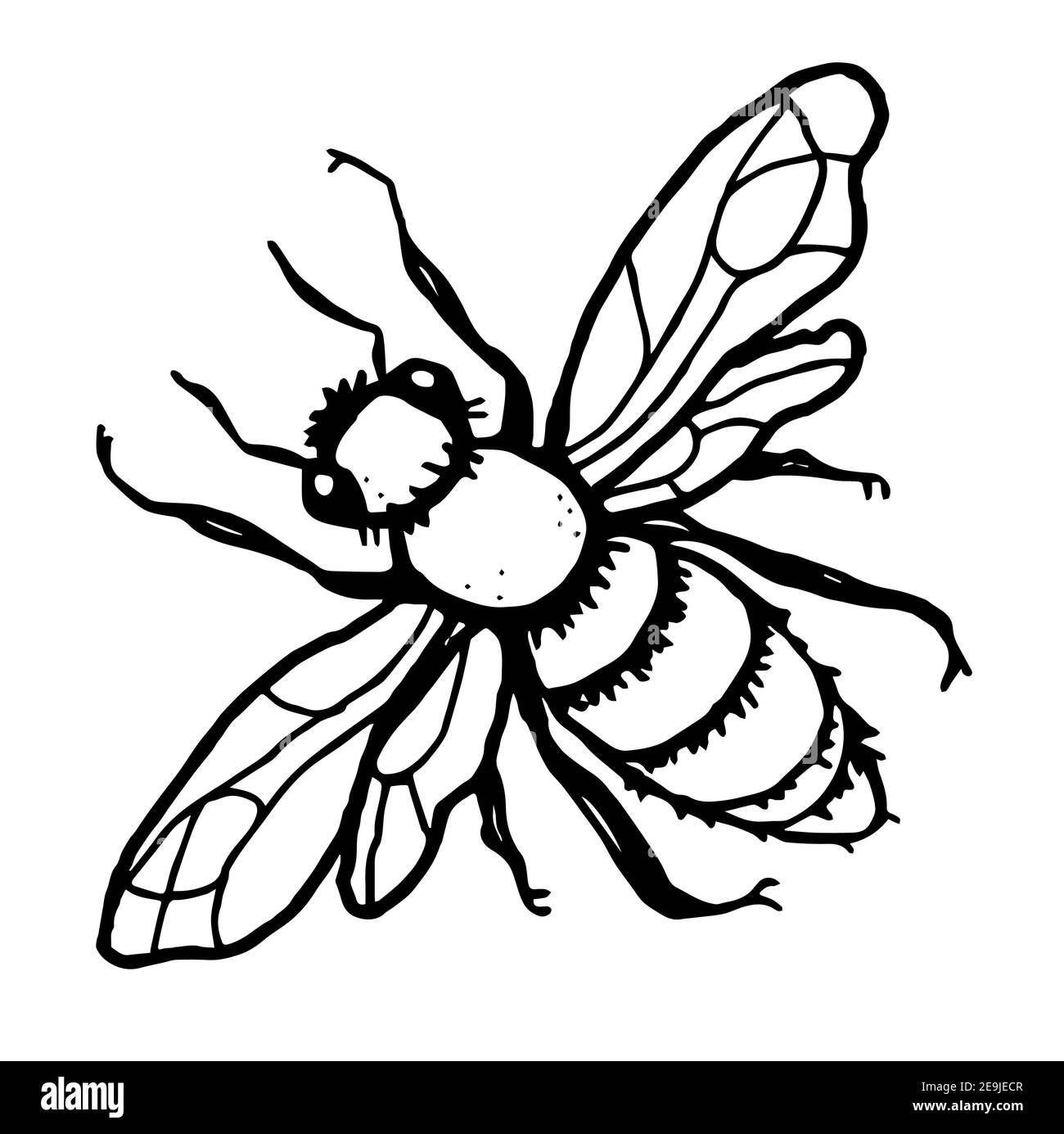 Flying insect flat icon. Fly. Outline image. vector illustration Stock ...