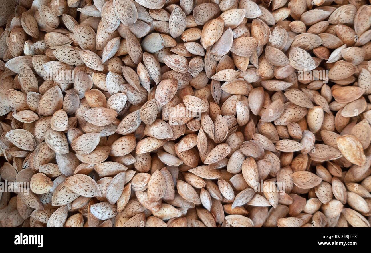 Background of shelled almonds. Seets texture background Stock Photo - Alamy