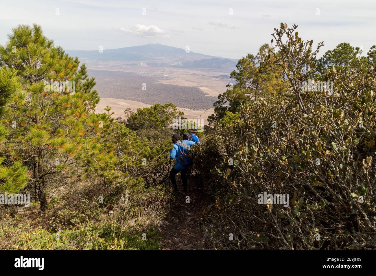 Back view of two hikers with backpacks hi-res stock photography and ...