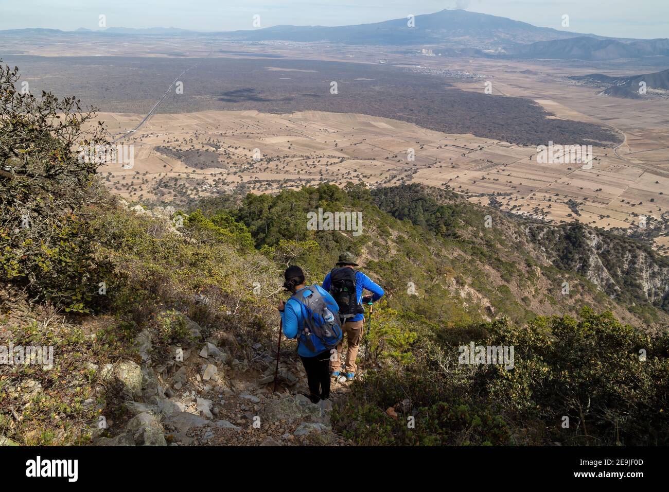 Back view of two hikers with backpacks hi-res stock photography and ...