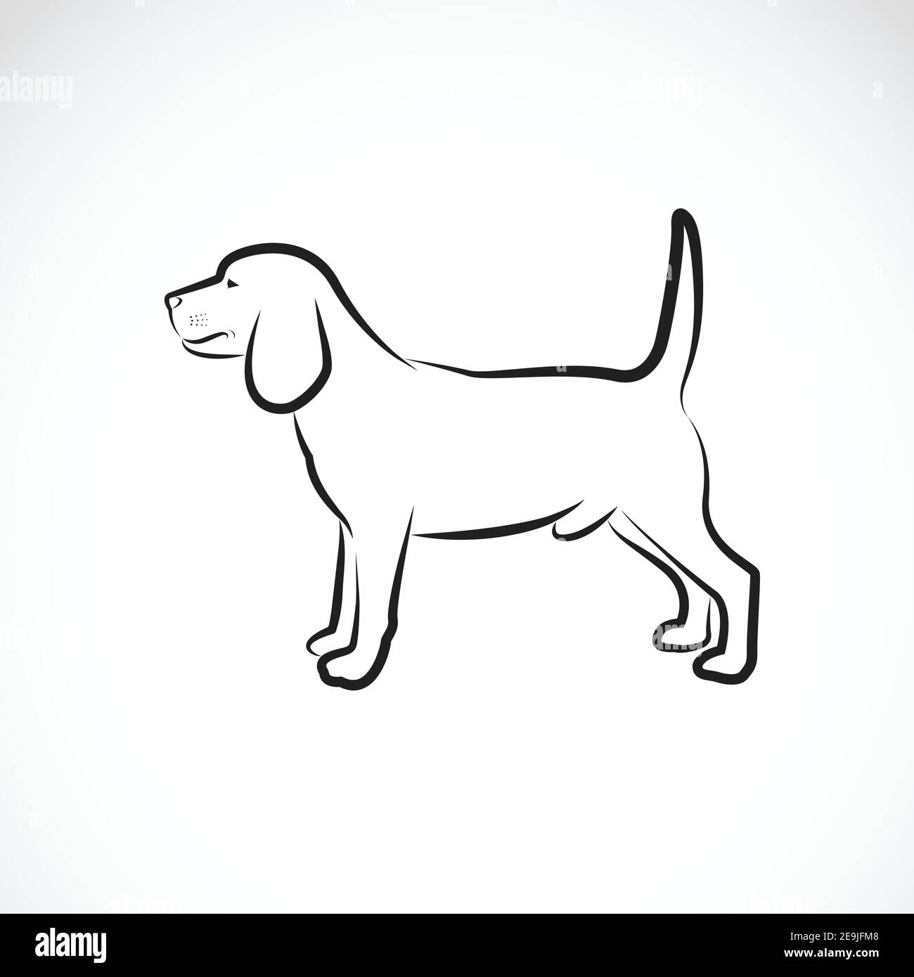 Vector of a dog beagle on white background. Pet. Animal. Dog logo or ...
