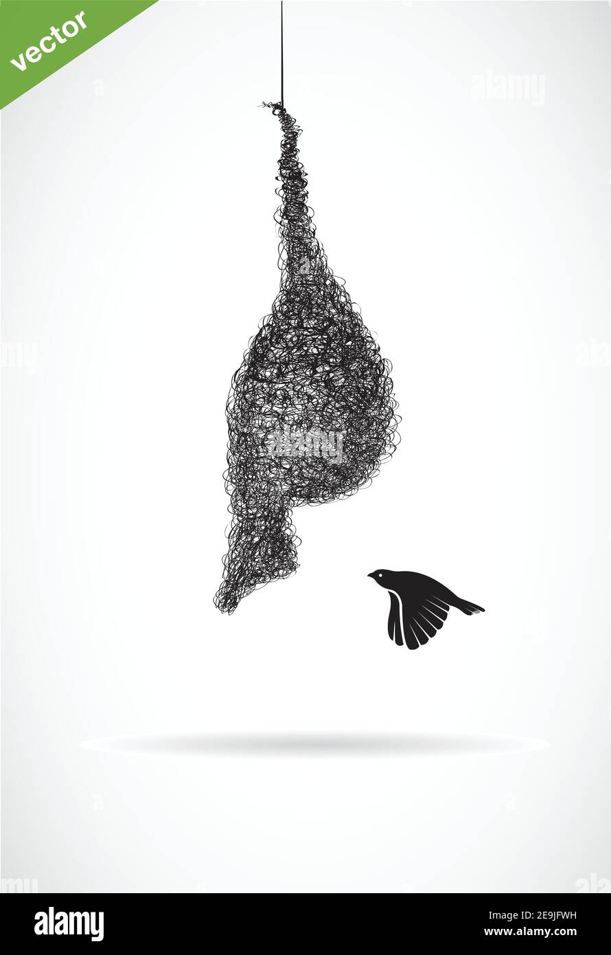 Vector of bird's nest and sparrow on on white background. Bird. Animal ...