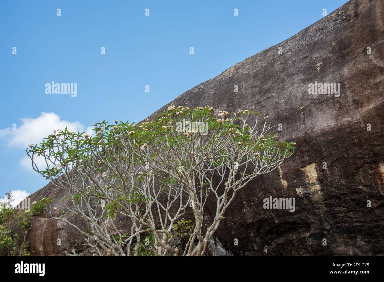 Grey boulder hi-res stock photography and images - Alamy