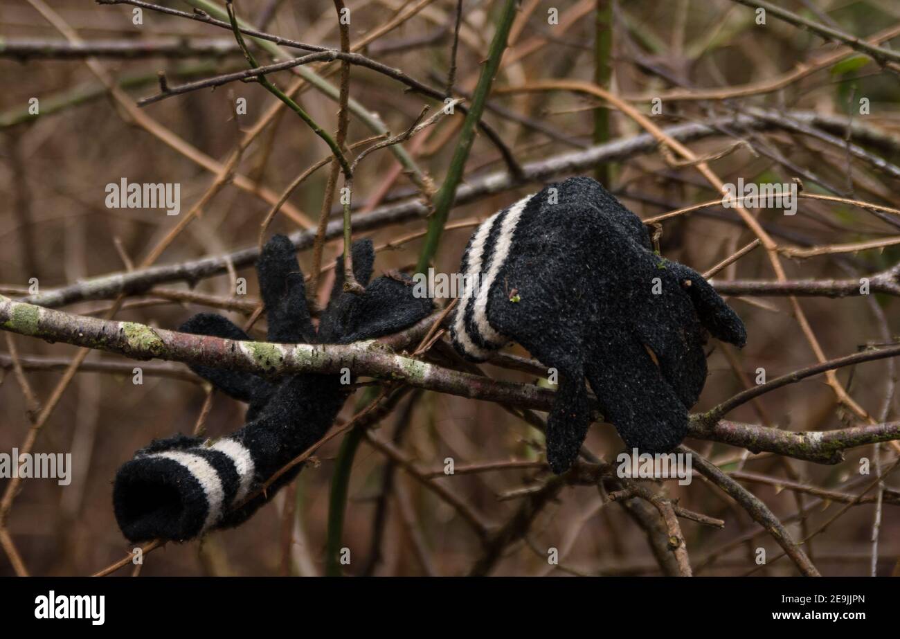 Discarded tree leaves hi-res stock photography and images - Alamy