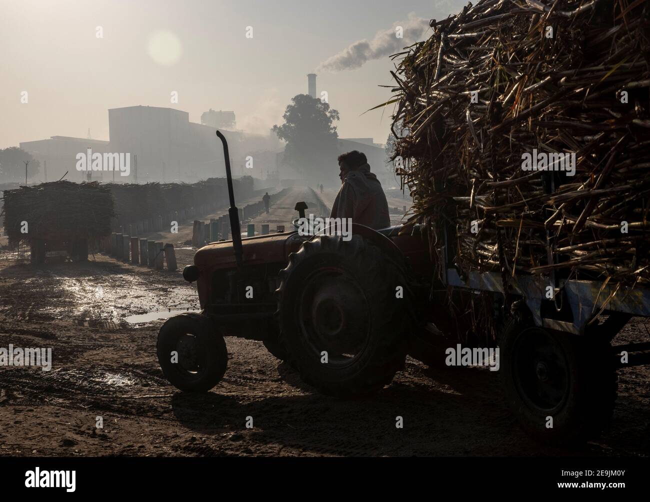 Sugarcane factory india hi-res stock photography and images - Alamy