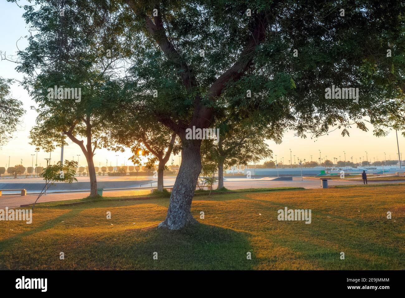 Sun rays behind the tree morning scene in King Fahad park at Dammam ...