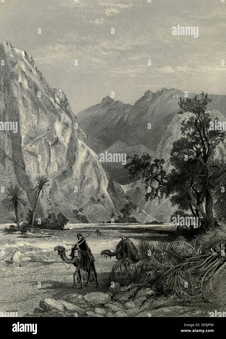 El Hesweh [The Feiran Oasis], Wady Feiran [Wadi Feiran is Sinai's ...
