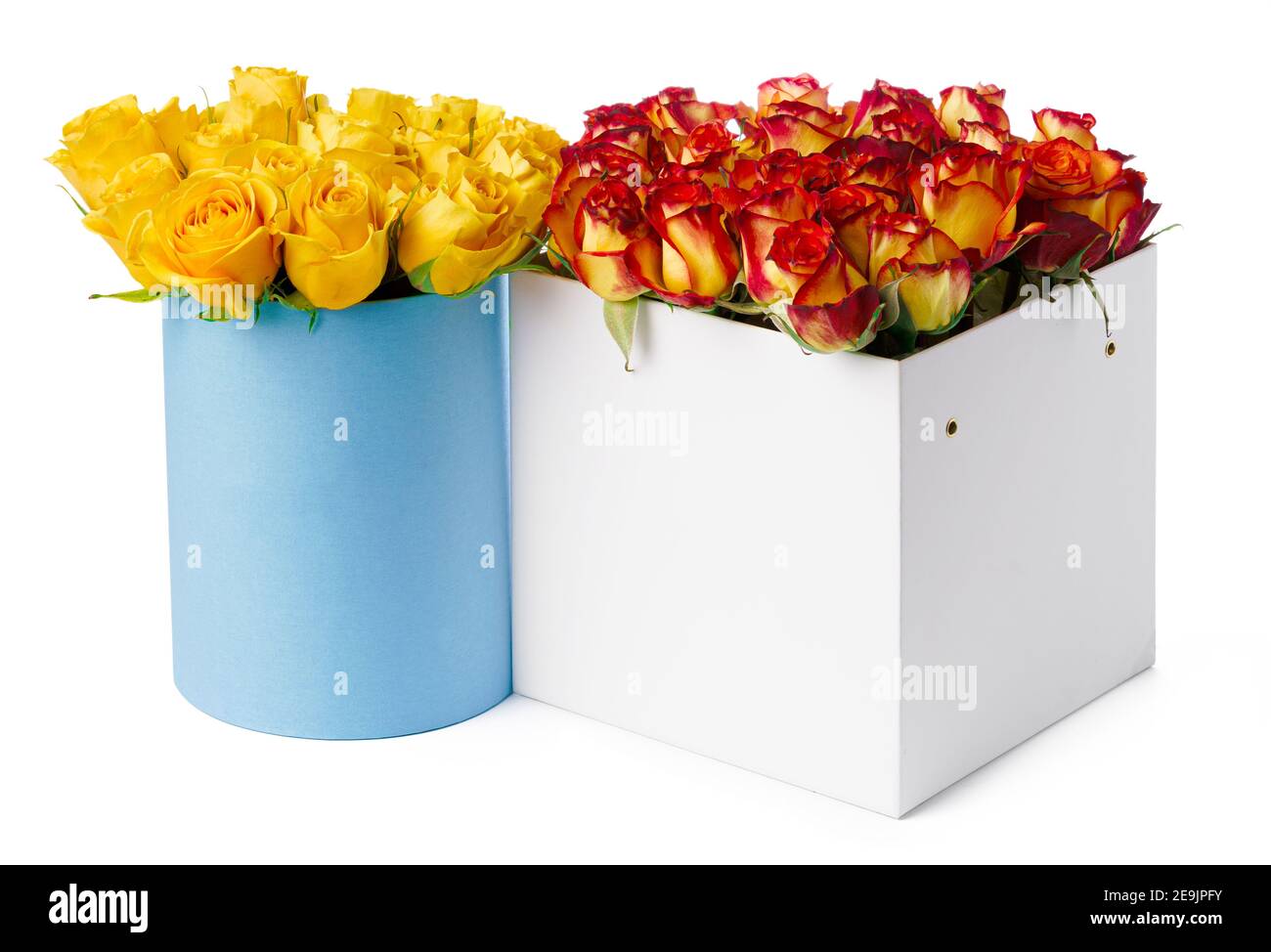 Beautiful boxes with fresh roses isolated on white background Stock ...
