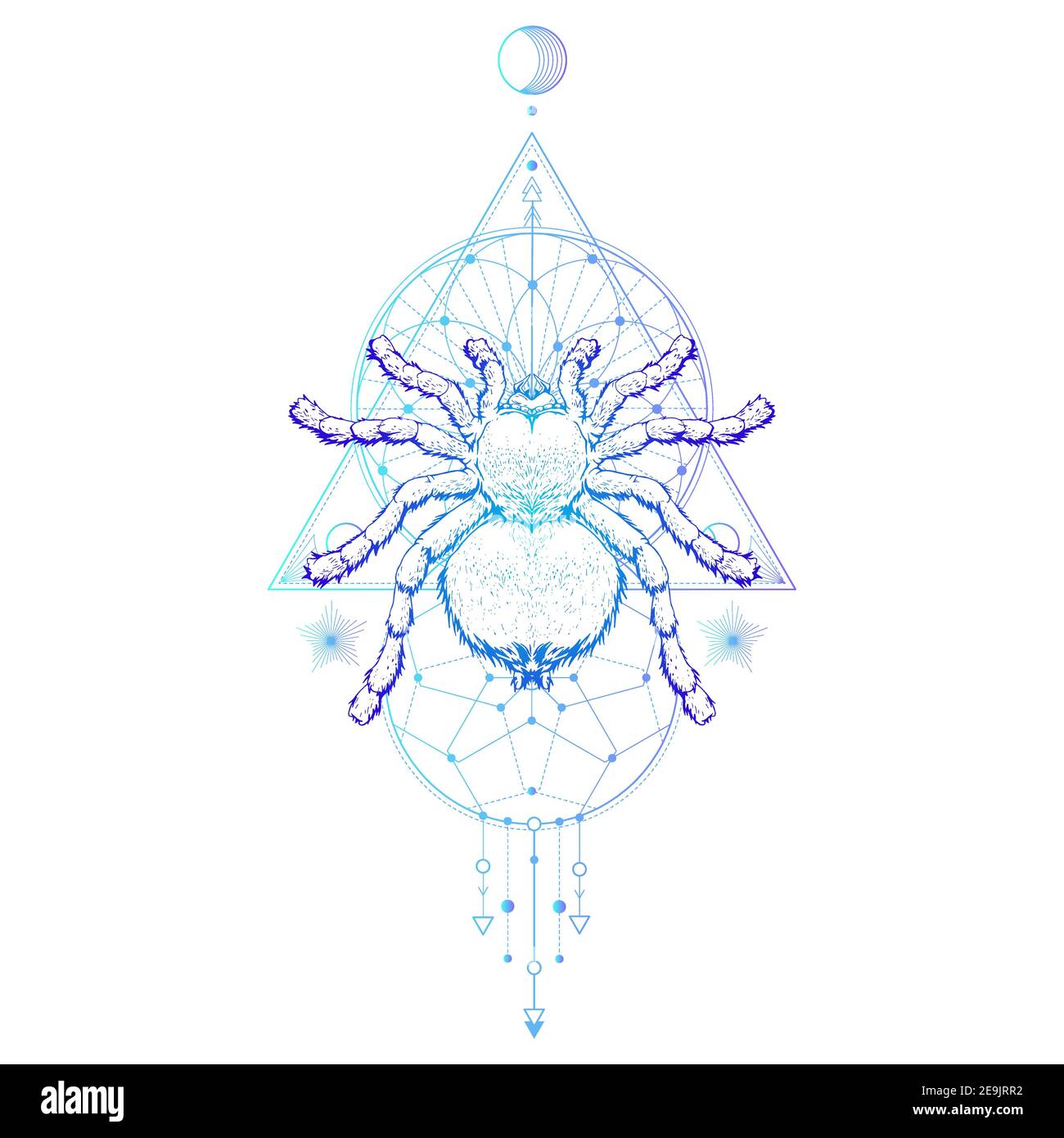 Vector illustration with hand drawn spider and Sacred geometric symbol ...