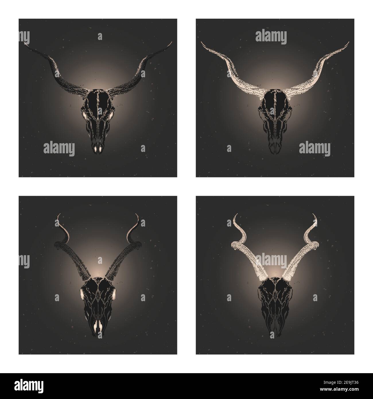 Antelope skeleton Stock Vector Images - Alamy