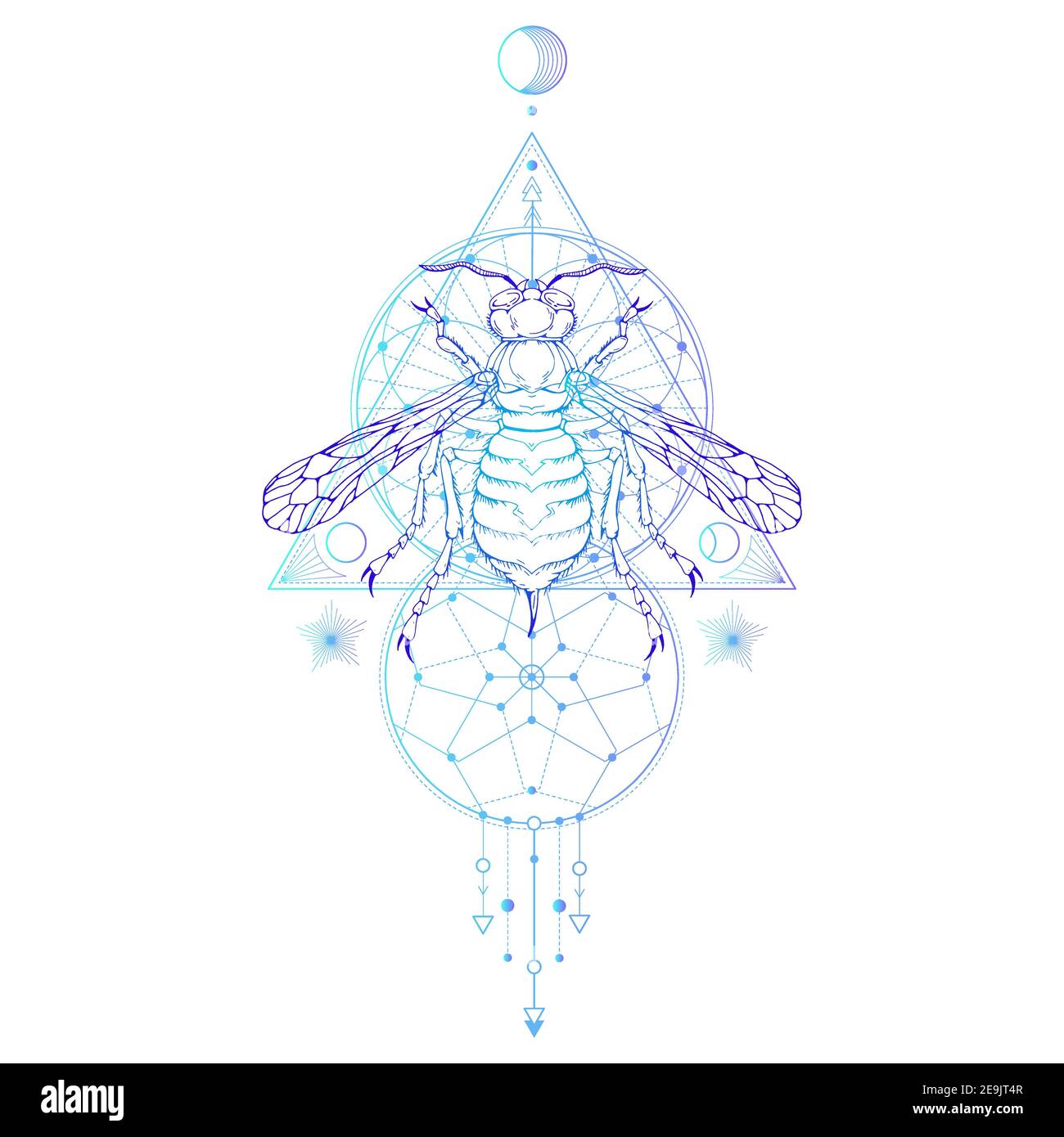 Vector illustration with hand drawn wasp and Sacred geometric symbol on ...