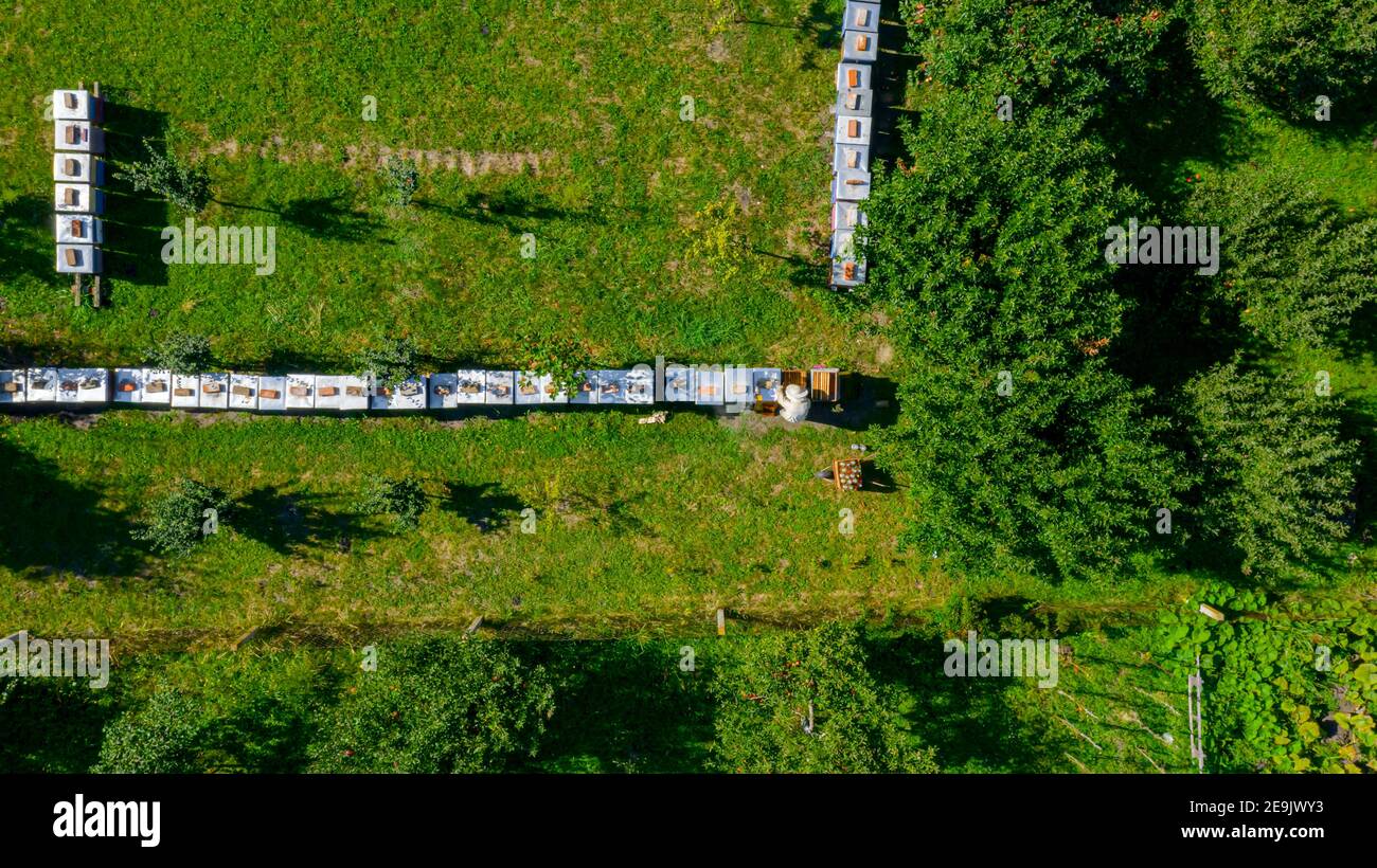 Top down view group brood hi-res stock photography and images - Alamy