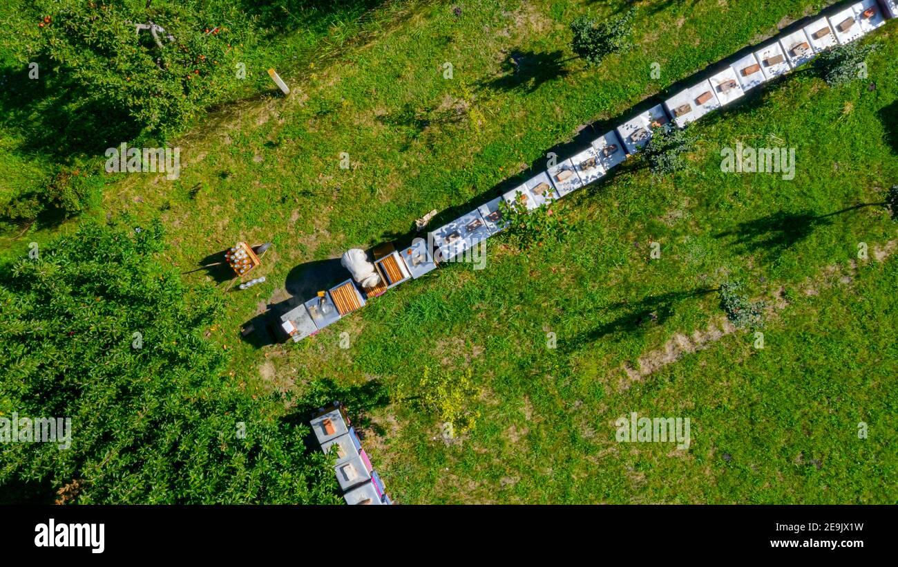 Top down aerial view beekeeper hi-res stock photography and images - Alamy