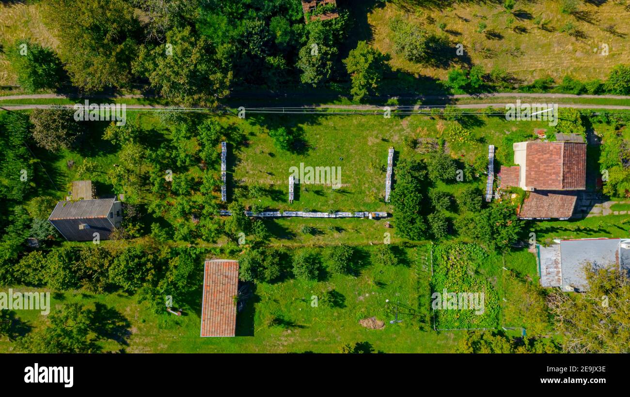 Above top down view, beekeeper is controlling situation in lined wooden ...