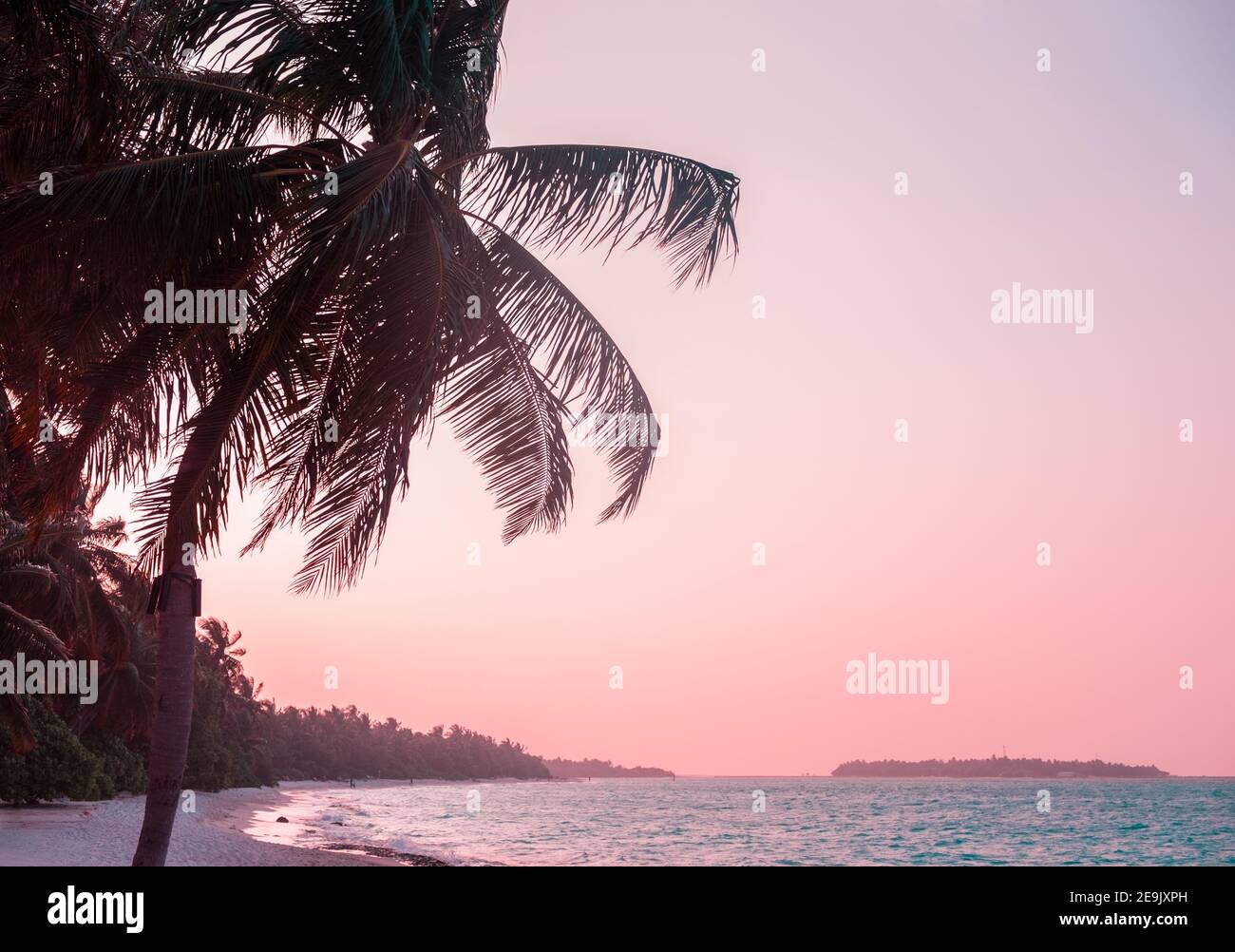 Beach in the Maldives at sunset Stock Photo - Alamy