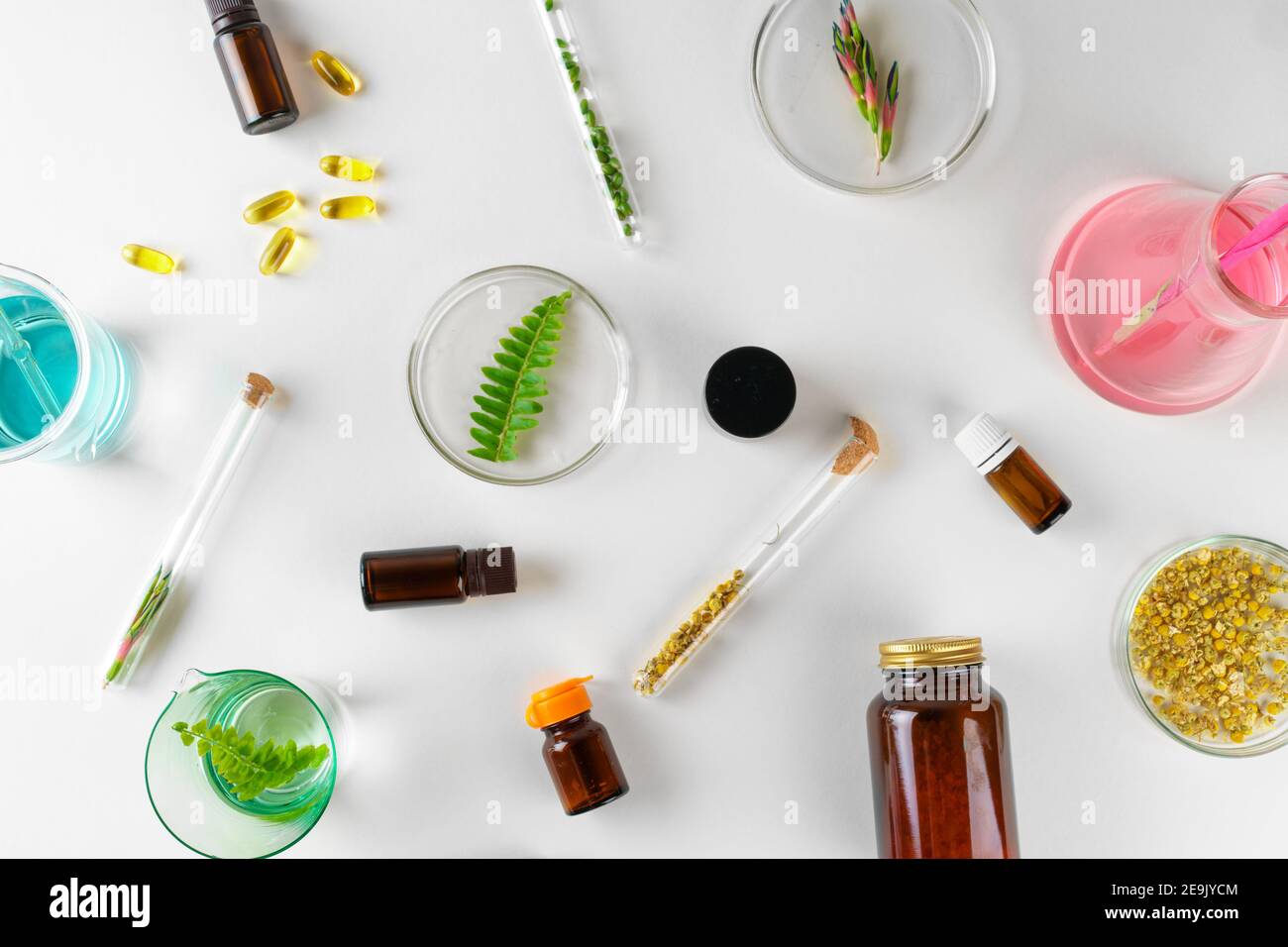 Making herbal dietary supplement in lab with plant leaves. Health and ...