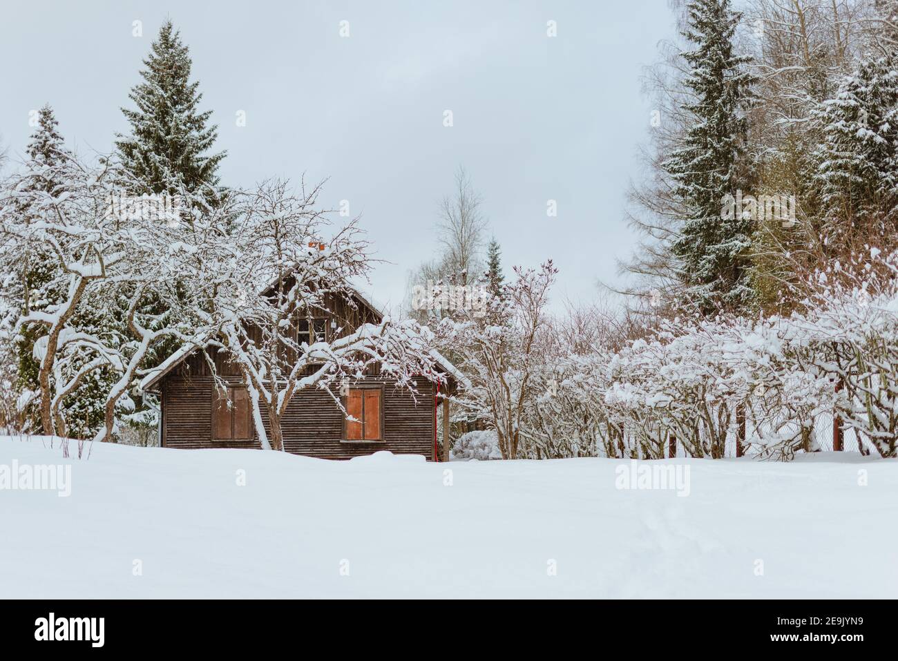 Winter scenery with a wooden cottage by the snowy trees Stock Photo - Alamy