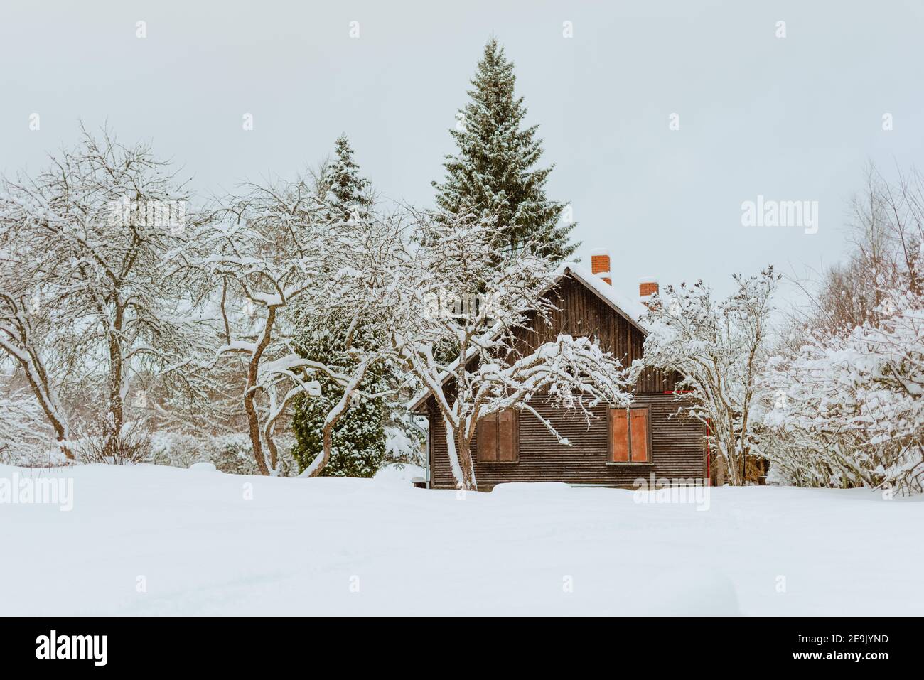 Winter scenery with a wooden cottage by the snowy trees Stock Photo - Alamy