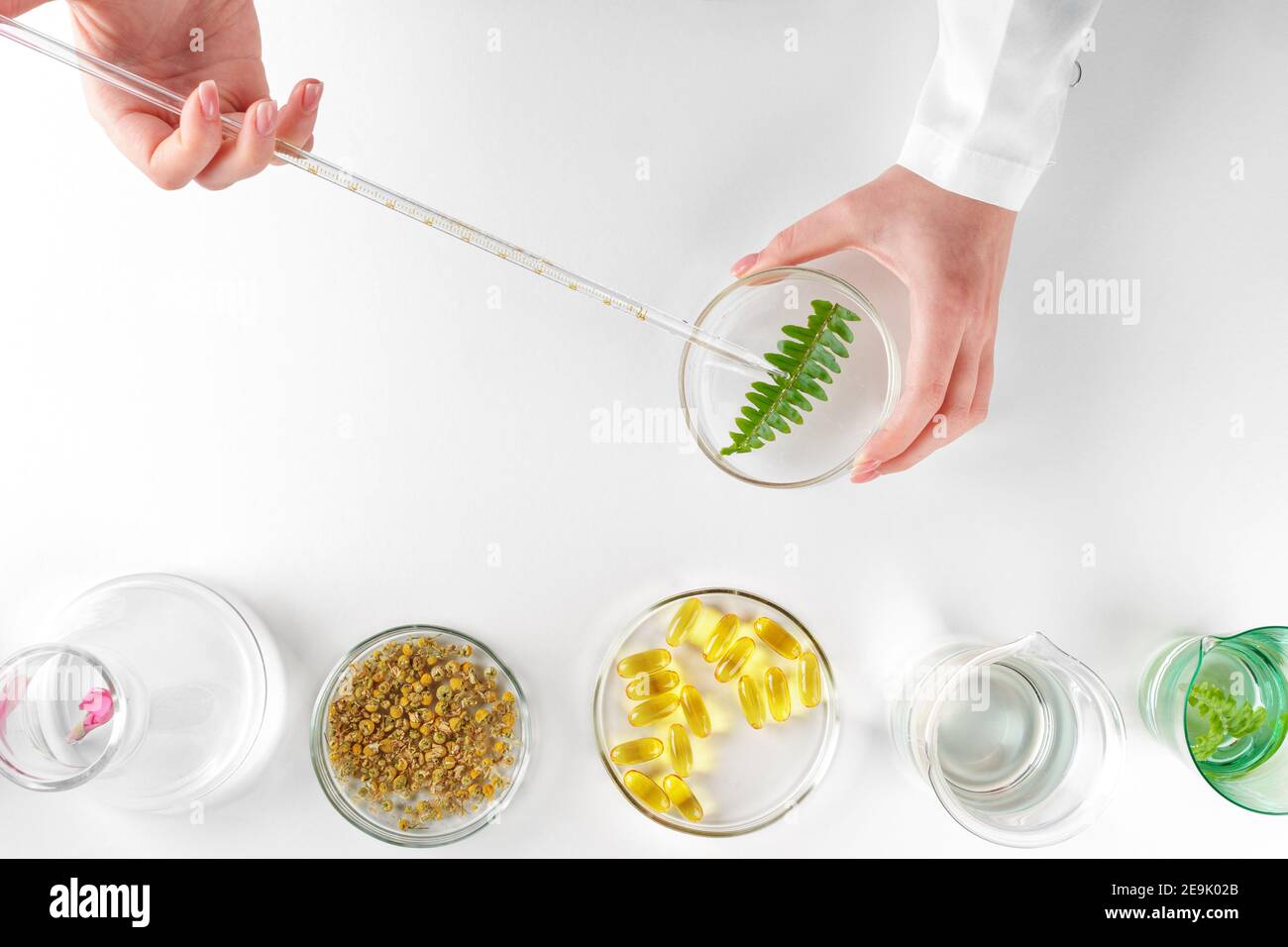 Making herbal dietary supplement in lab with plant leaves. Health and ...
