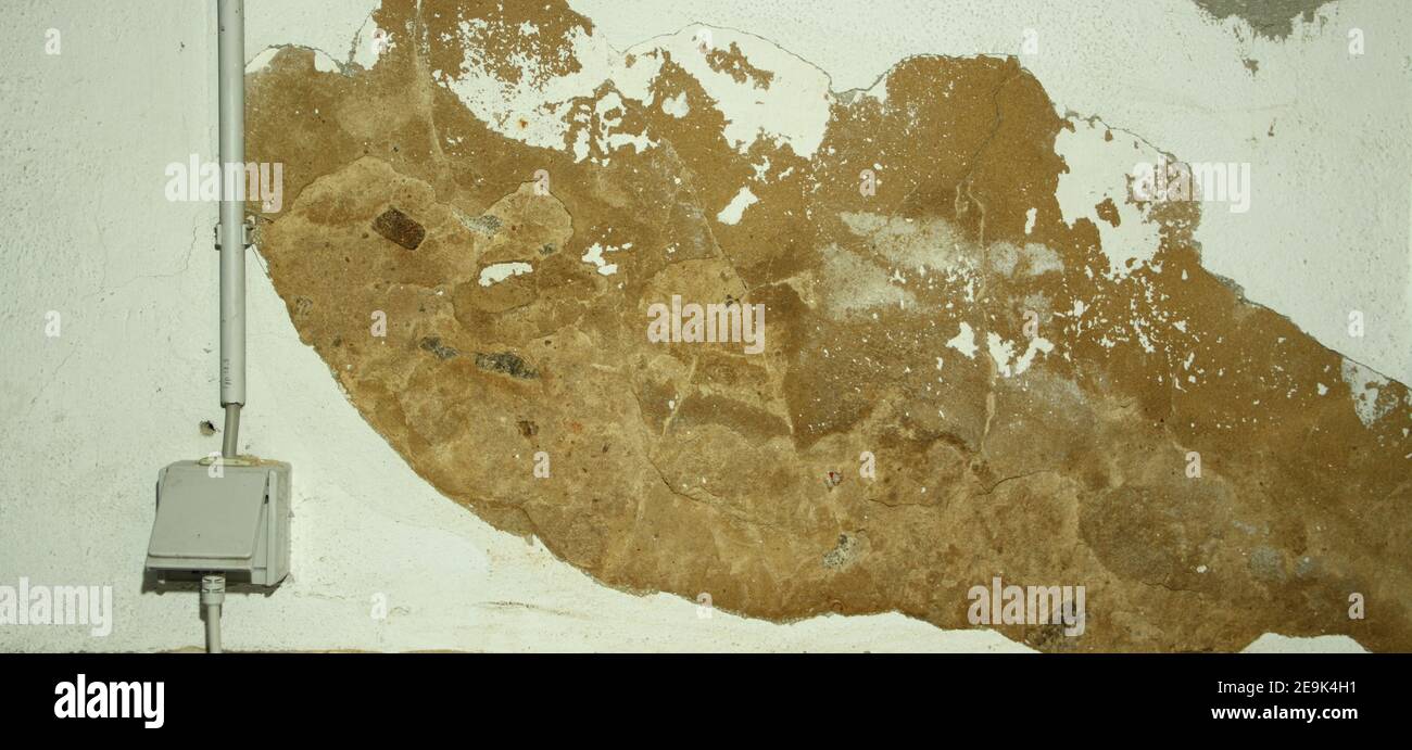 White mold basement hi-res stock photography and images - Alamy