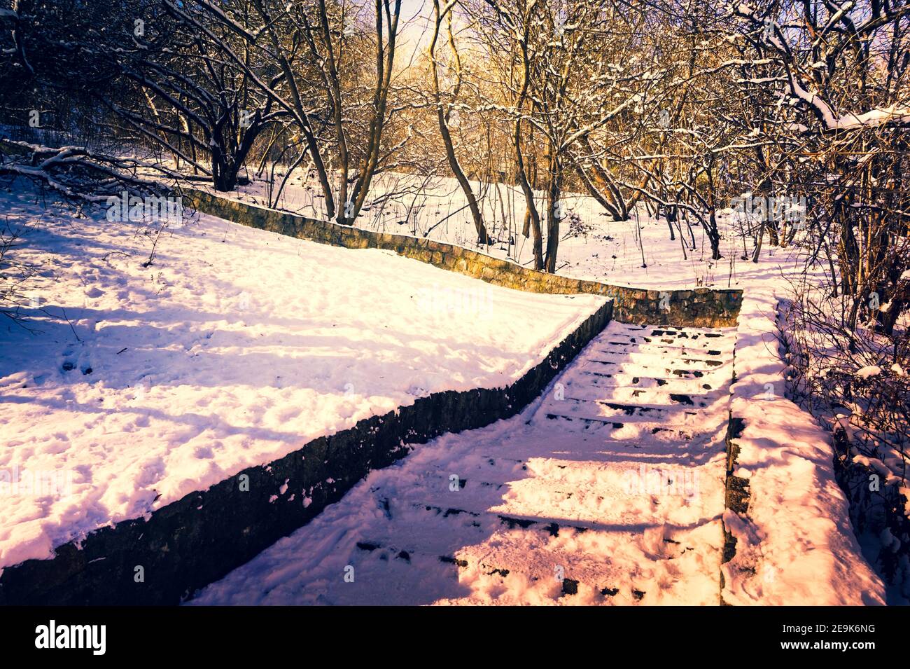 Steps in park in winter Stock Photo - Alamy