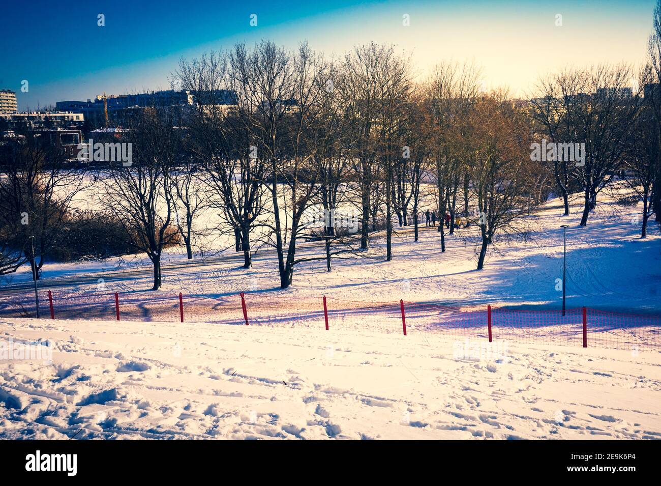 Park with trees and snow in winter Stock Photo - Alamy