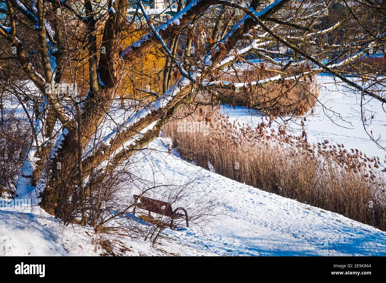 Frozen lake covered with snow in winter Stock Photo - Alamy
